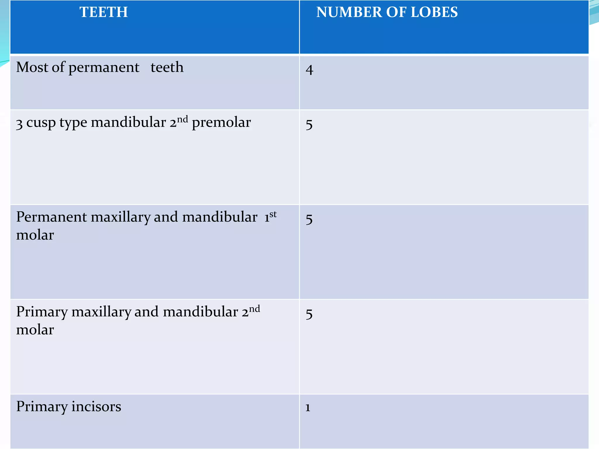 Tooth morphology...the architecture of god | PPT