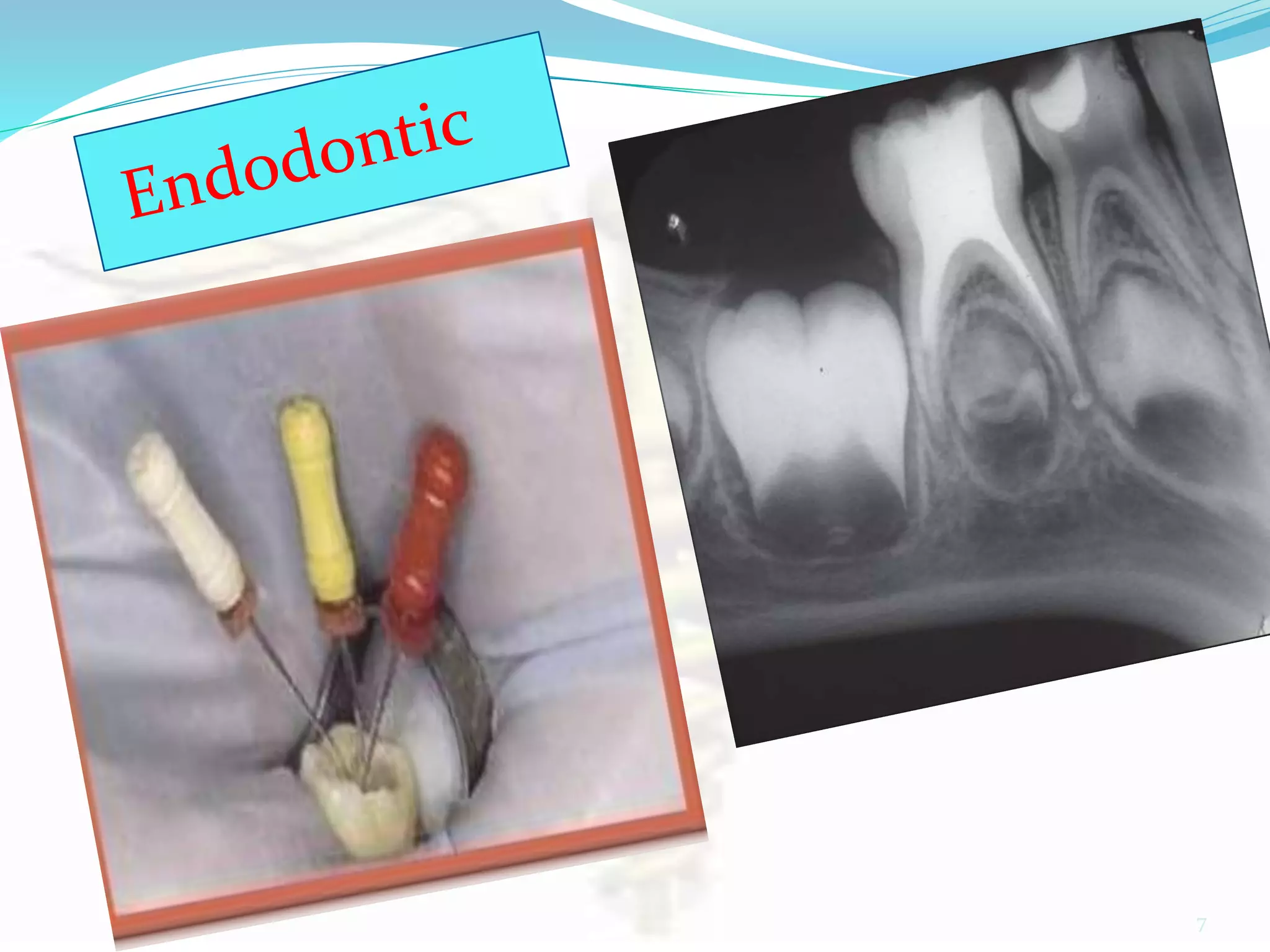 Tooth morphology...the architecture of god | PPTX