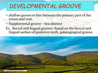 Tooth morphology...the architecture of god | PPTX