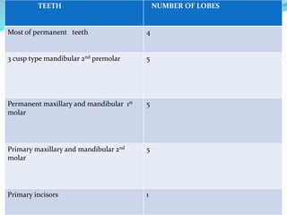 Tooth morphology...the architecture of god | PPTX