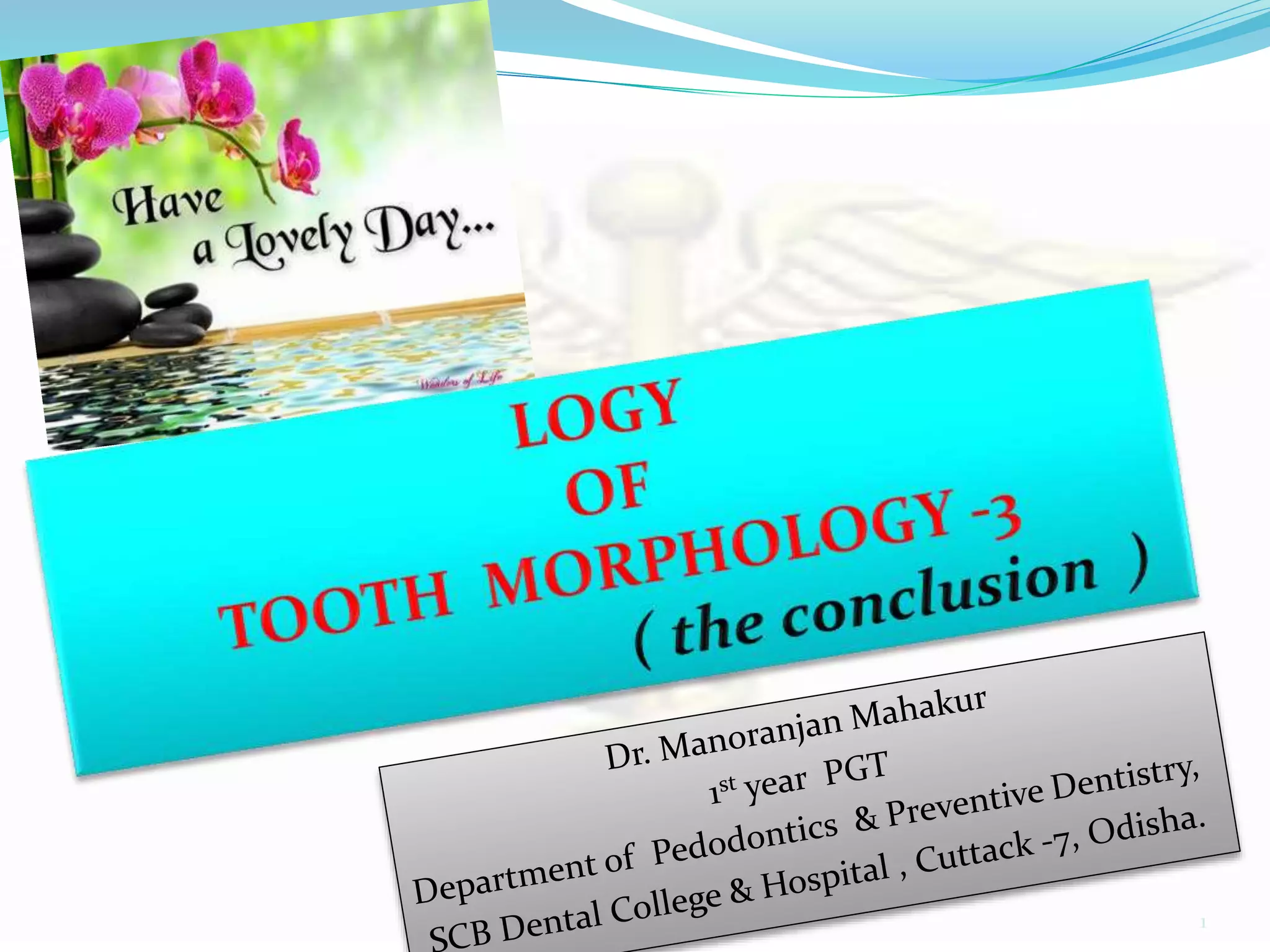 Tooth morphology...the architecture of part 3.....premolar and molar | PPTX