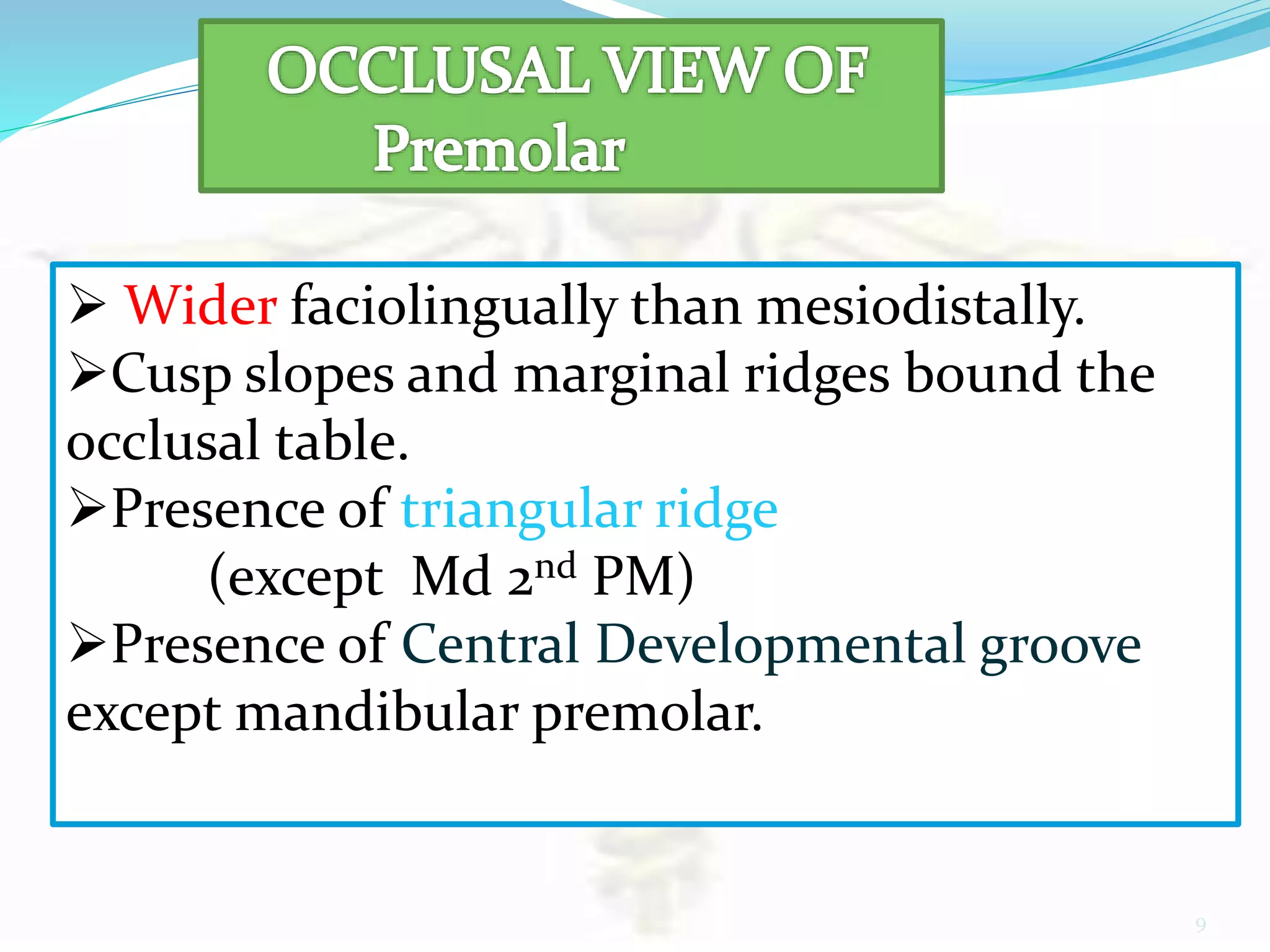 Tooth morphology...the architecture of part 3.....premolar and molar | PPTX