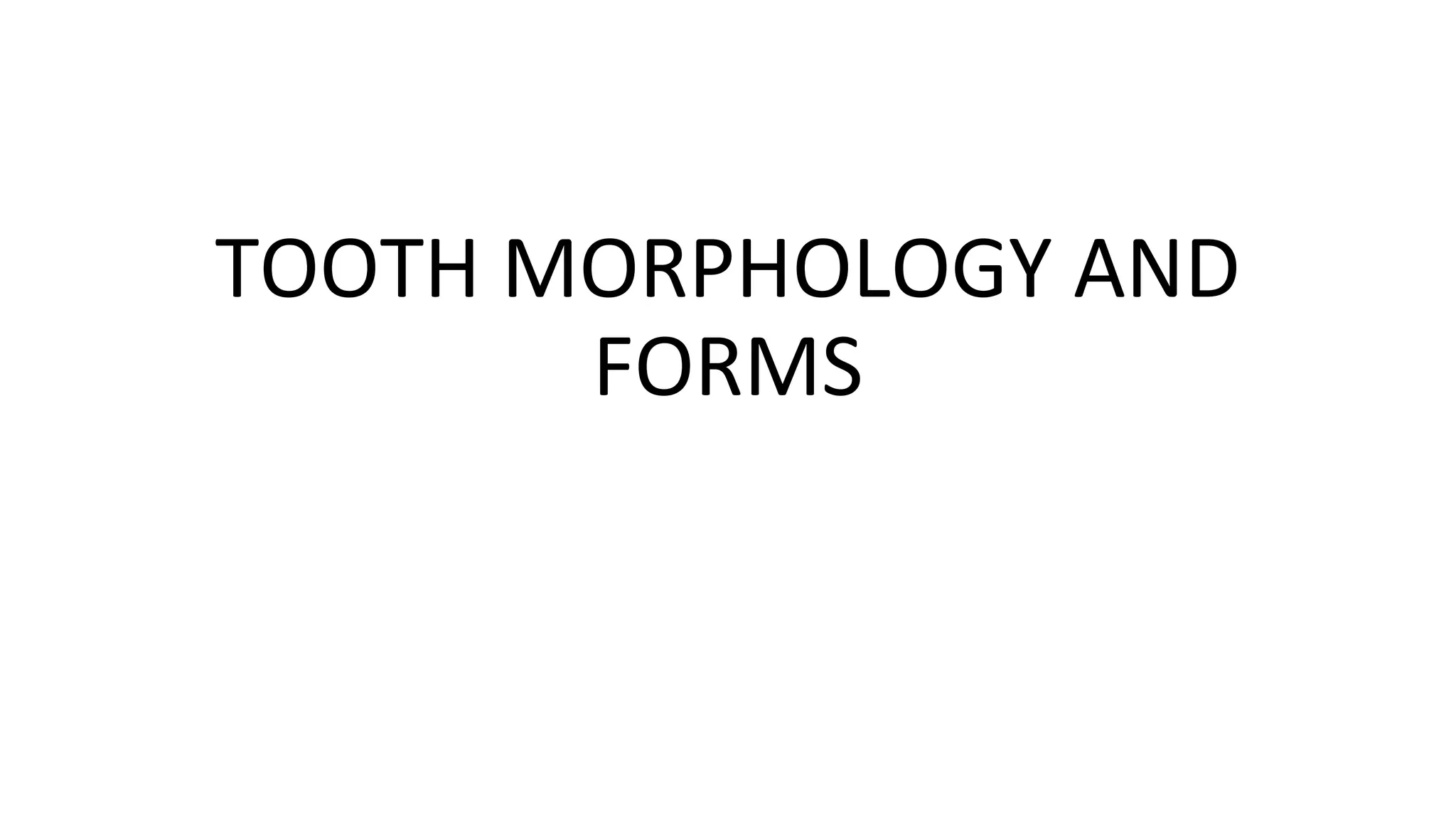 tooth morphology and forms Dental anatomy pdf | PDF