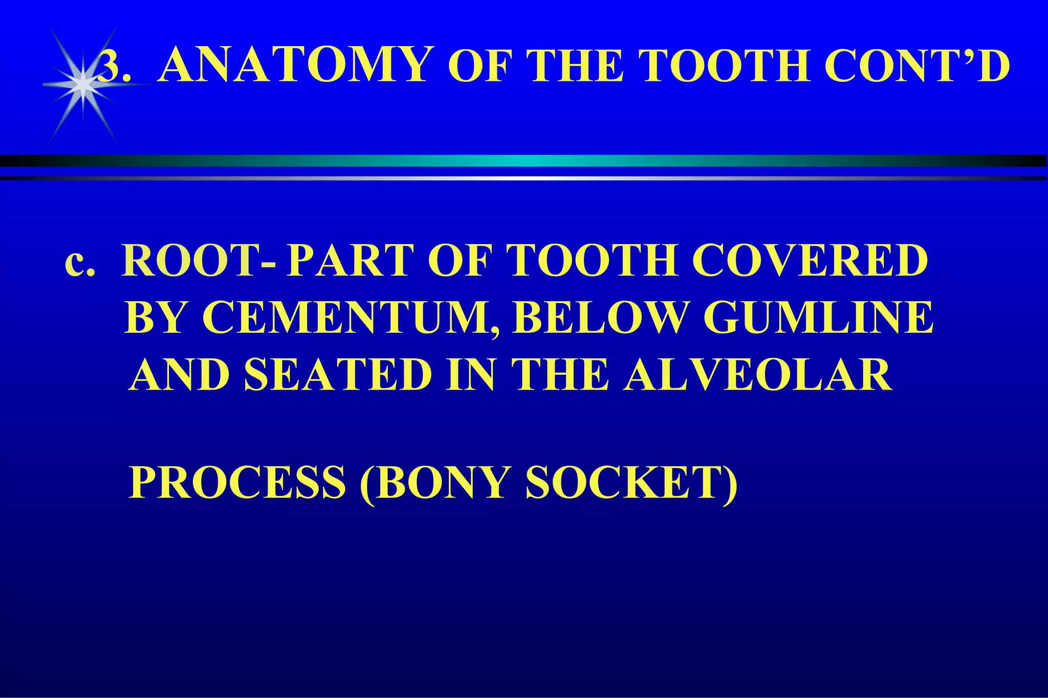 Tooth morphology and Intra oral anatomy | PPT