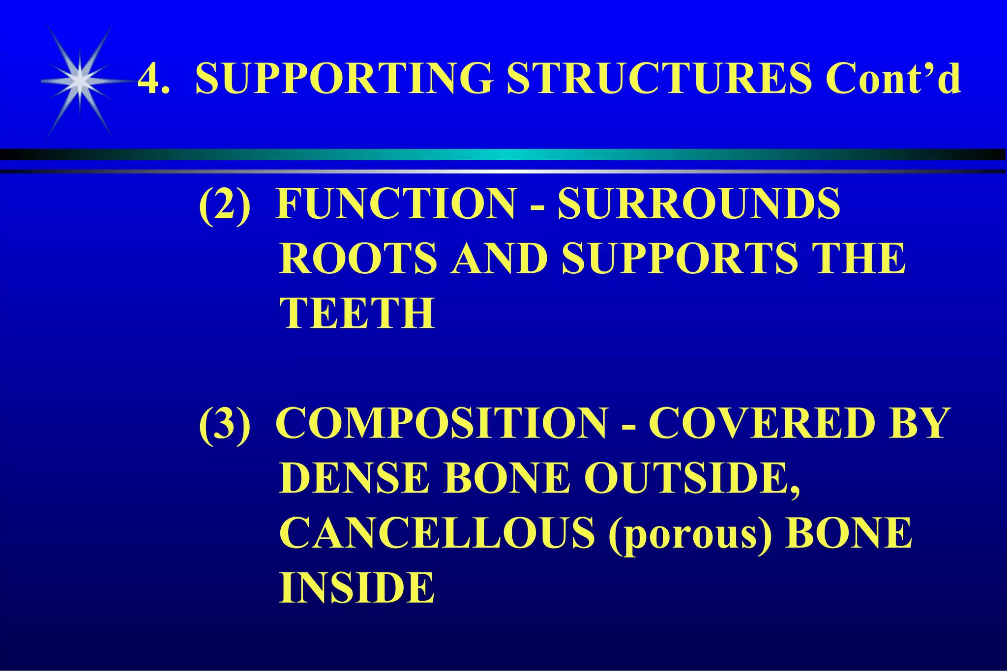 Tooth morphology and Intra oral anatomy | PPT