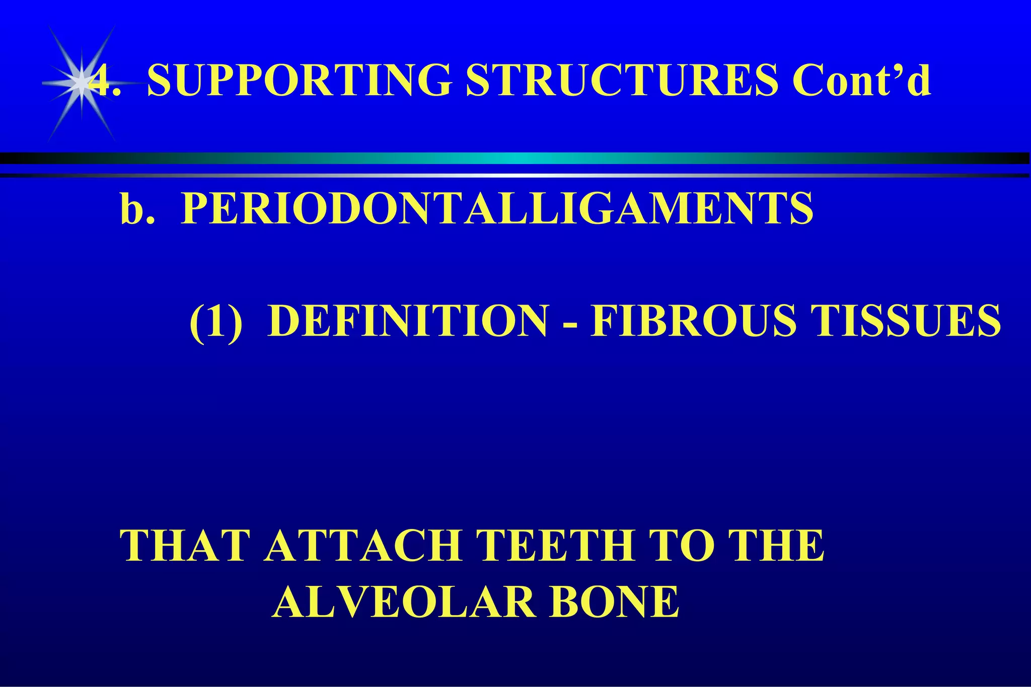 Tooth morphology and Intra oral anatomy | PPT