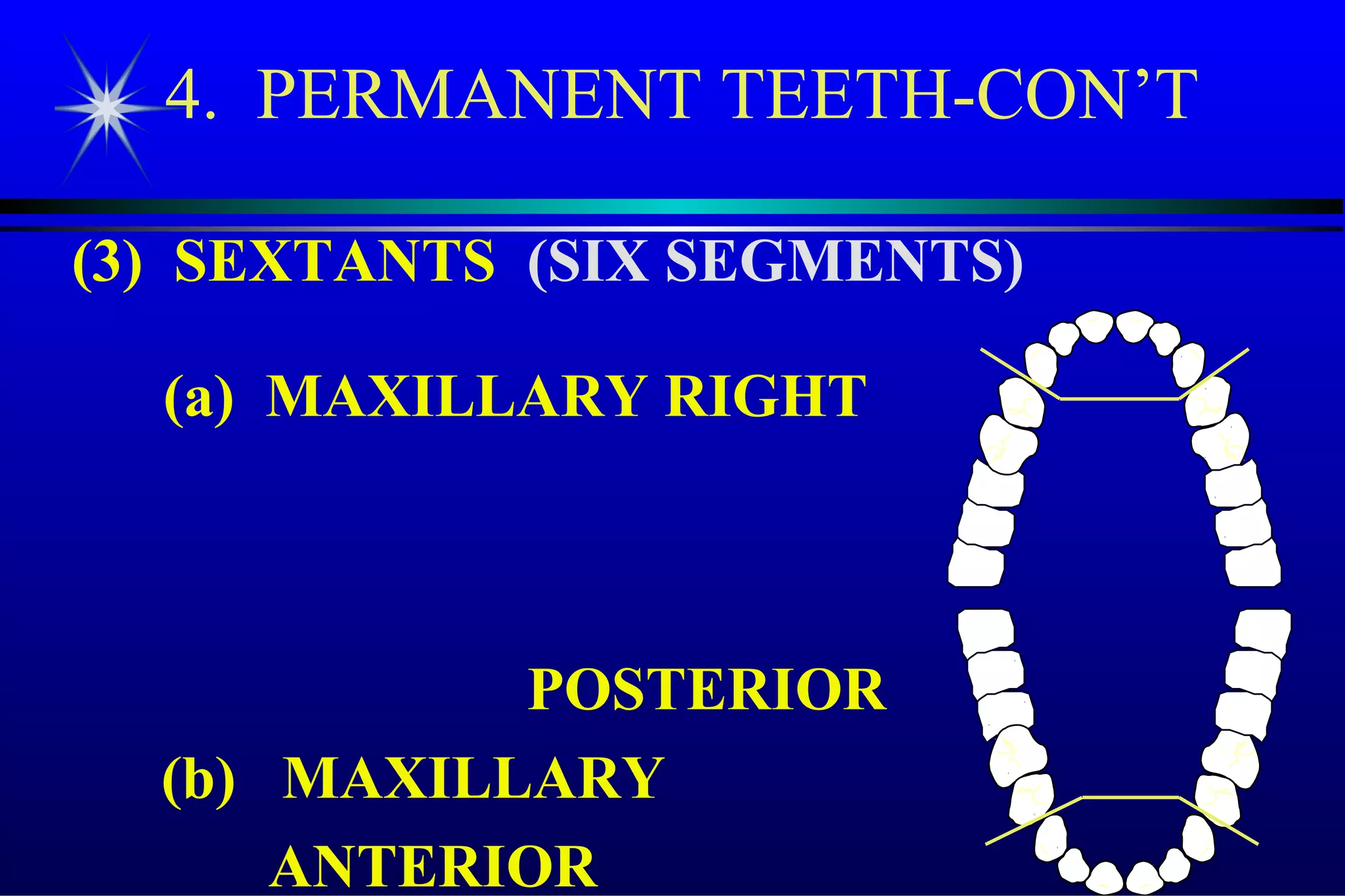 Tooth morphology and Intra oral anatomy | PPT