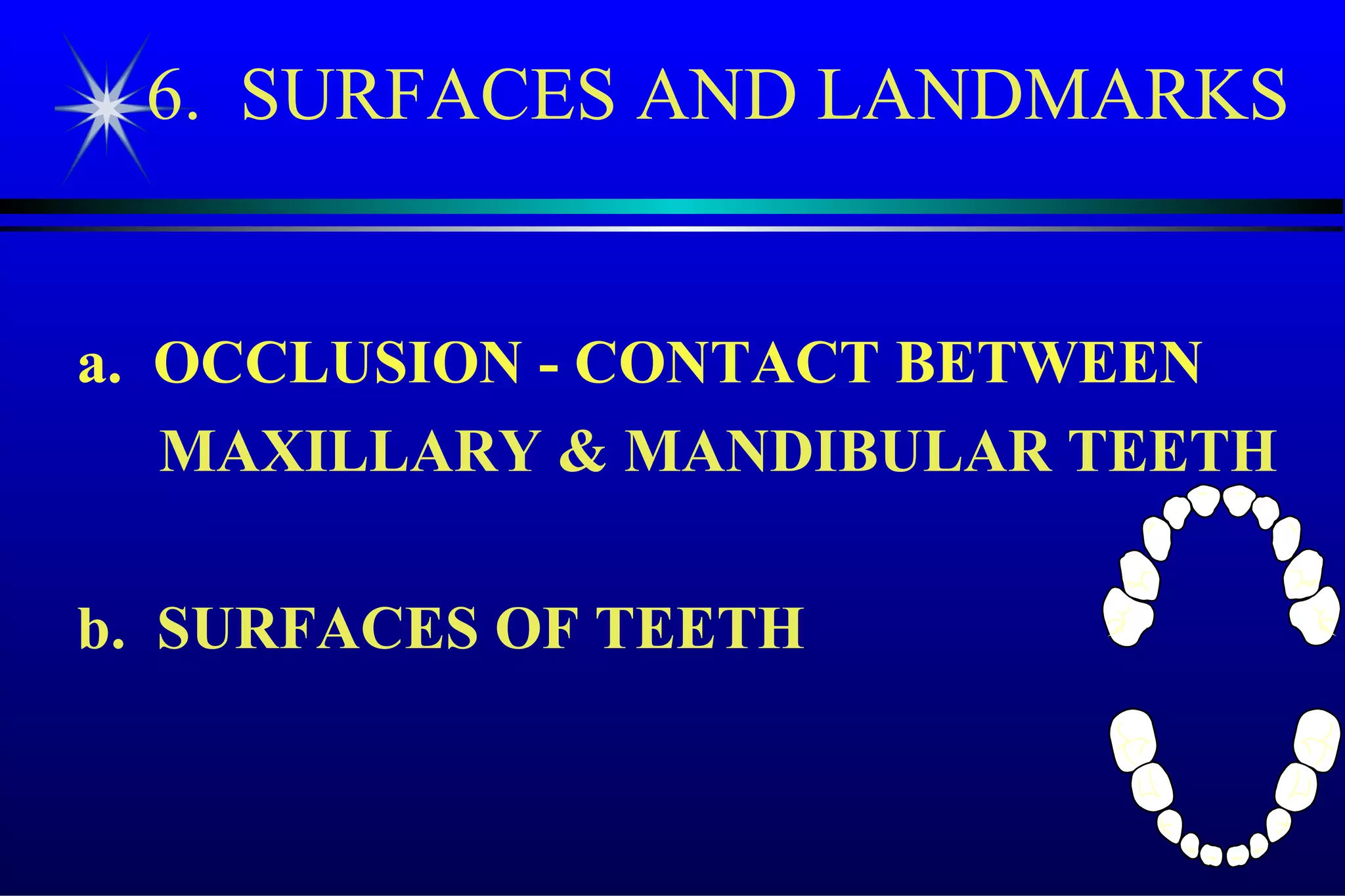 Tooth morphology and Intra oral anatomy | PPT | Dental Health ...