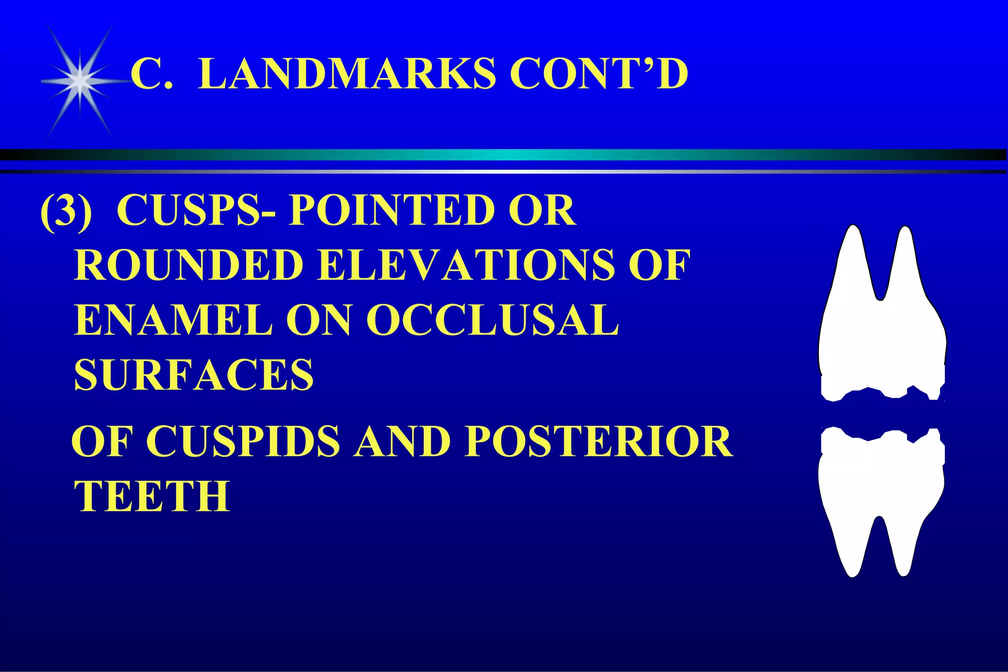 Tooth morphology and Intra oral anatomy | PPT