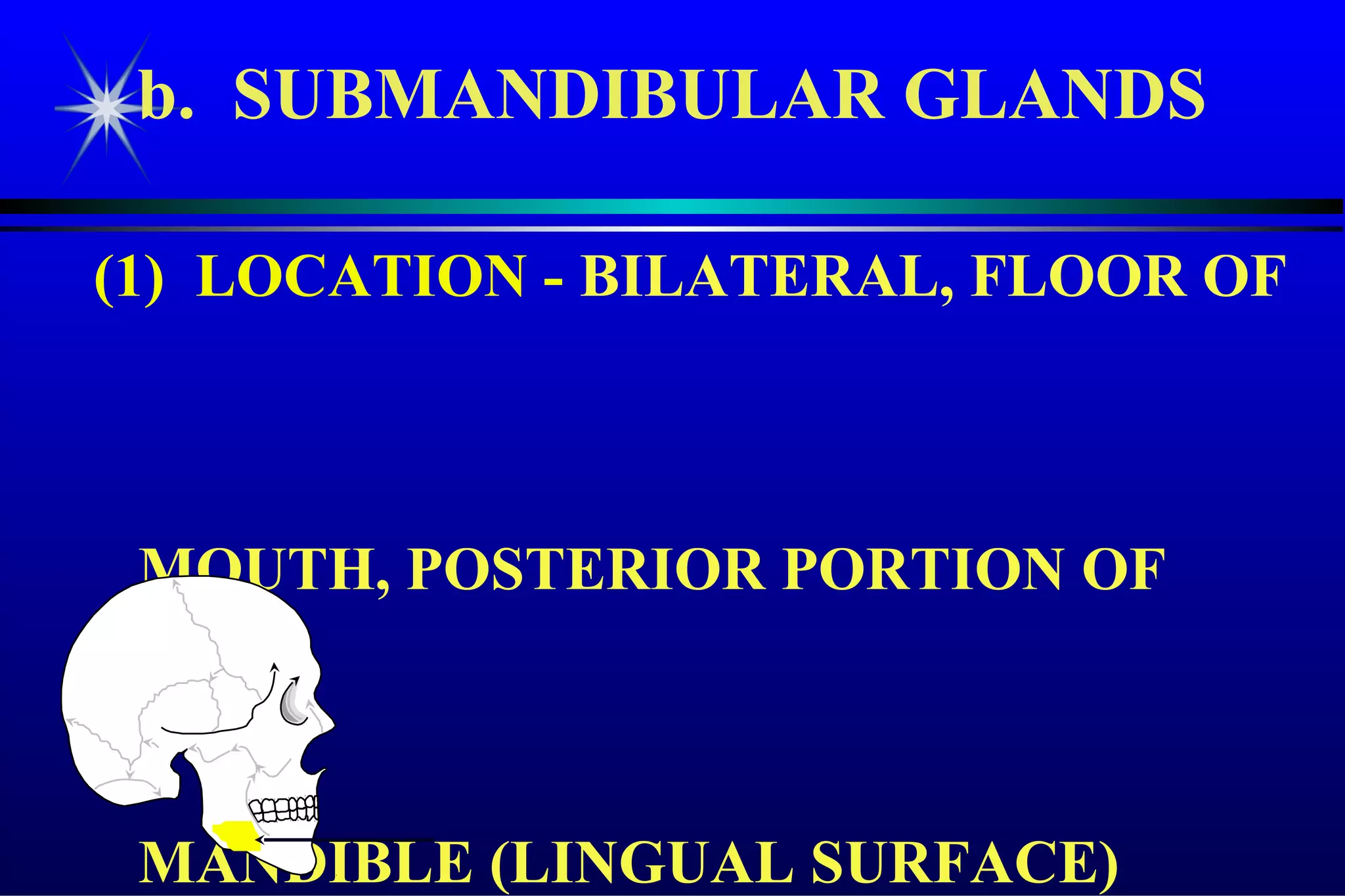 Tooth morphology and Intra oral anatomy | PPT