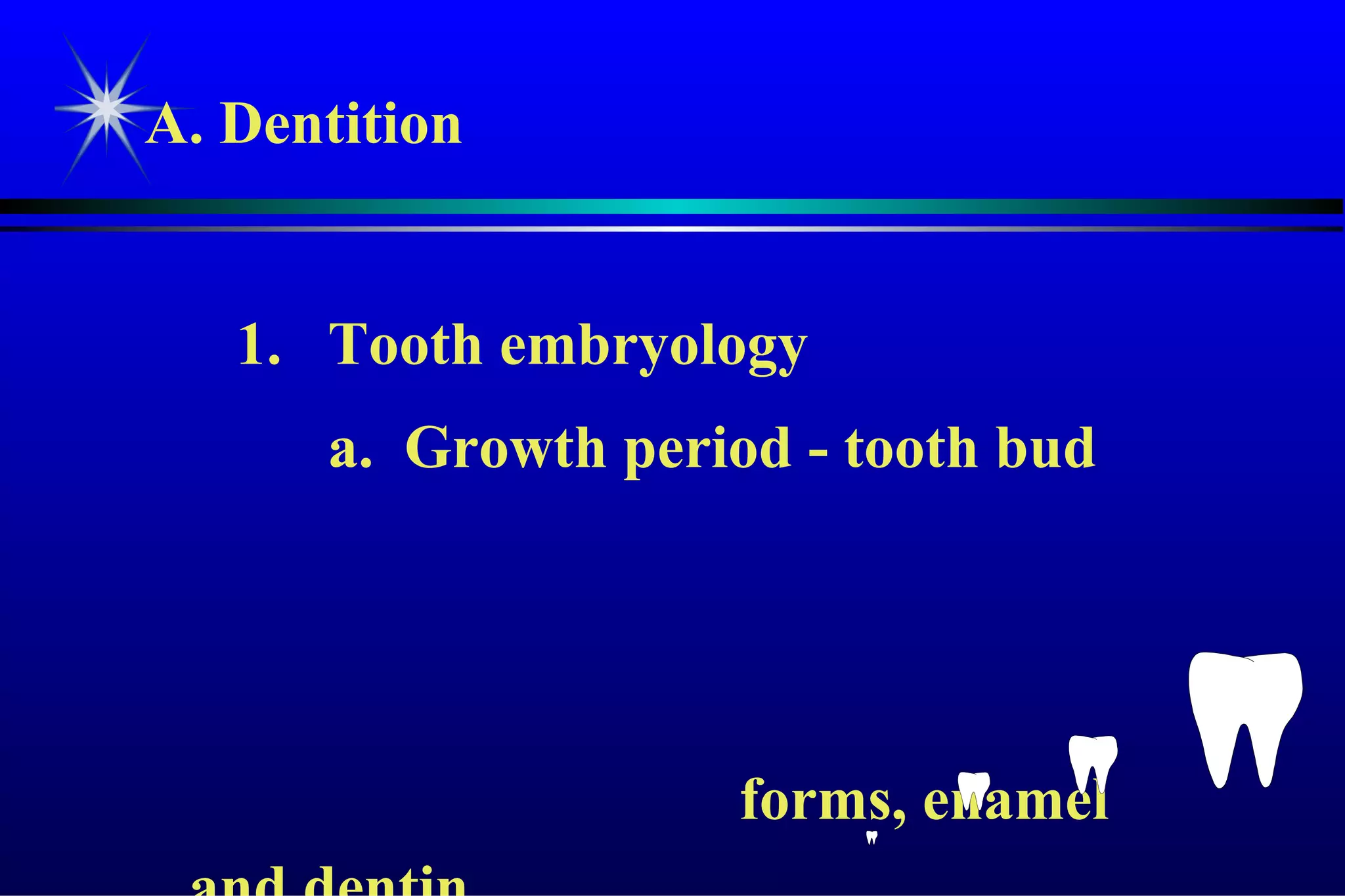Tooth morphology and Intra oral anatomy | PPT