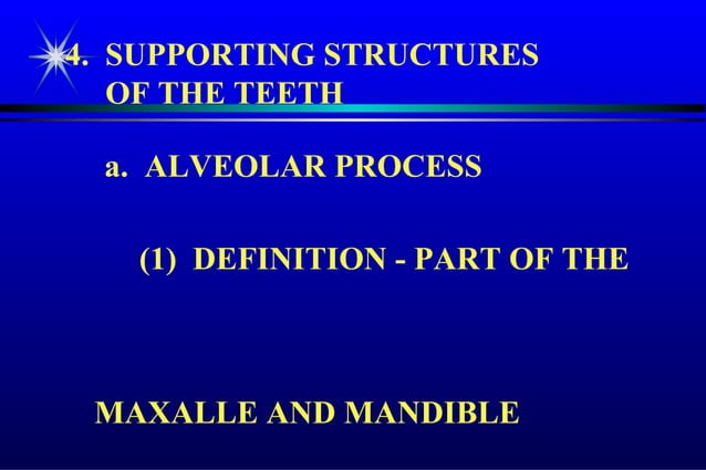 Tooth morphology and Intra oral anatomy | PPT | Dental Health ...
