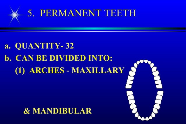 Tooth morphology and Intra oral anatomy | PPT | Dental Health ...