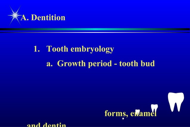 Tooth morphology and Intra oral anatomy | PPT | Dental Health ...