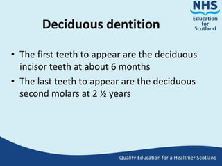 Dental Anatomy and landmarks of different teeth | PPTX