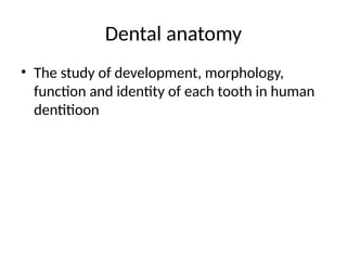 Dental Anatomy and landmarks of different teeth | PPTX