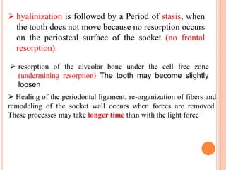 Tooth movement in orthodontics how and why | PPTX | Dental Health ...