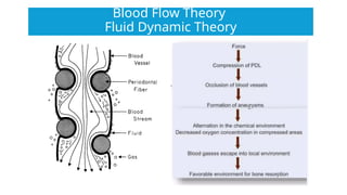 Theories and types of tooth movement .pptx