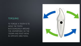 Orthodontic Tooth movement types | PPTX | Dental Health | Diseases and ...