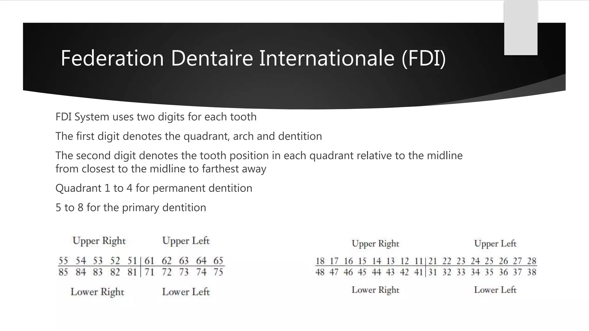 Tooth notation | PPTX