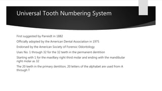Tooth notation | PPT