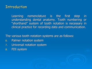 Tooth Numbering Systems | PPT