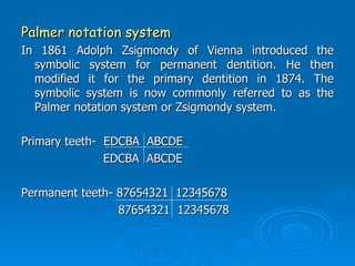 Tooth Numbering Systems | PPT