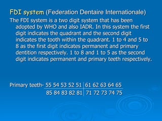 Tooth Numbering Systems | PPT