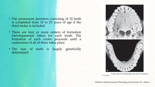 toothn problems and its solution.ppvery good slidetx | PPT