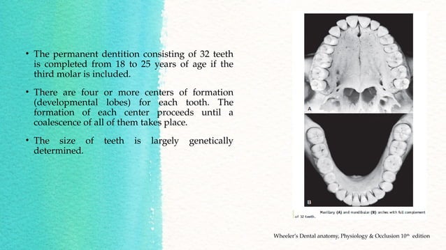 toothn problems and its solution.ppvery good slidetx | PPT