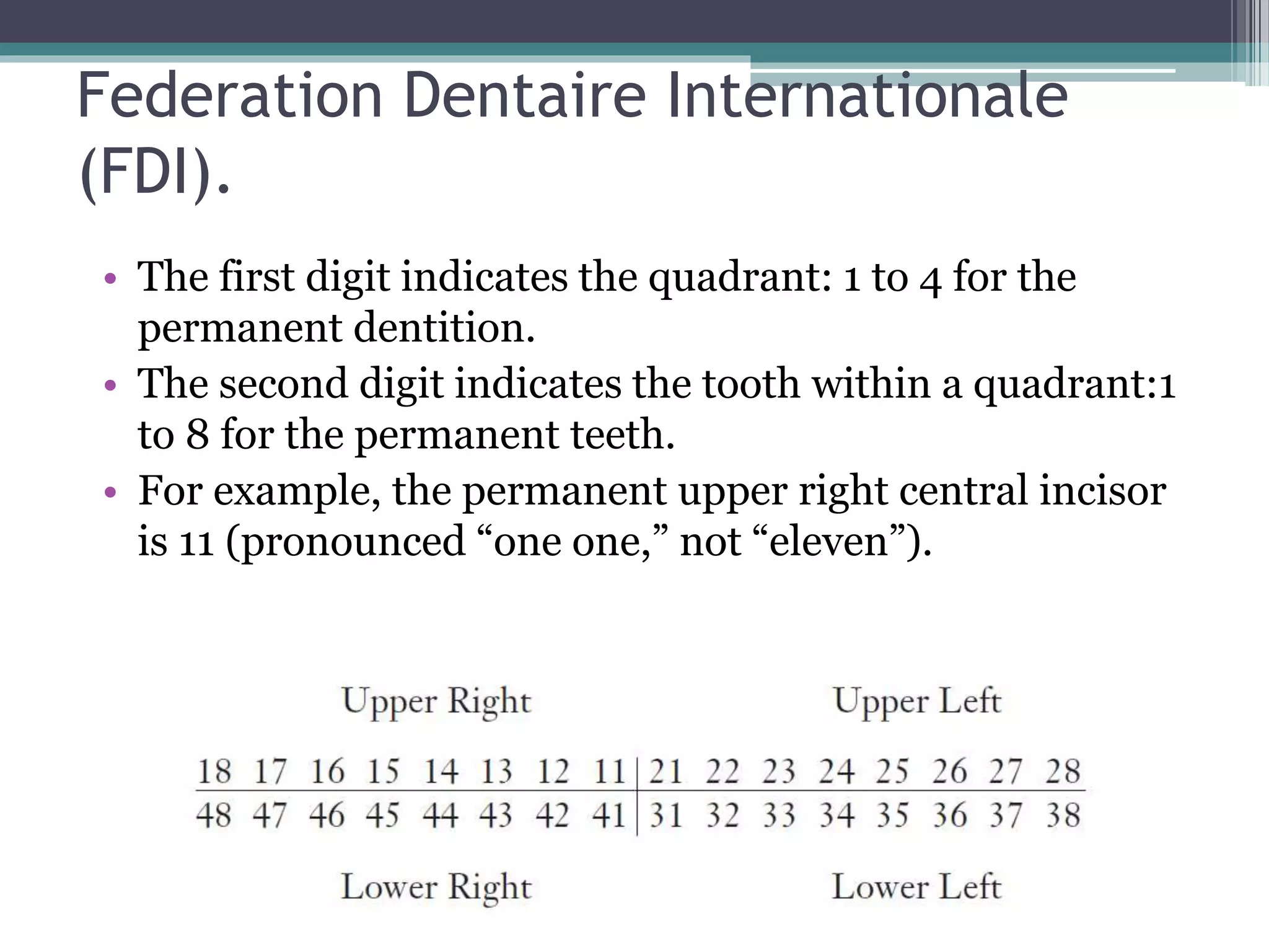 Tooth numbering system | PPTX