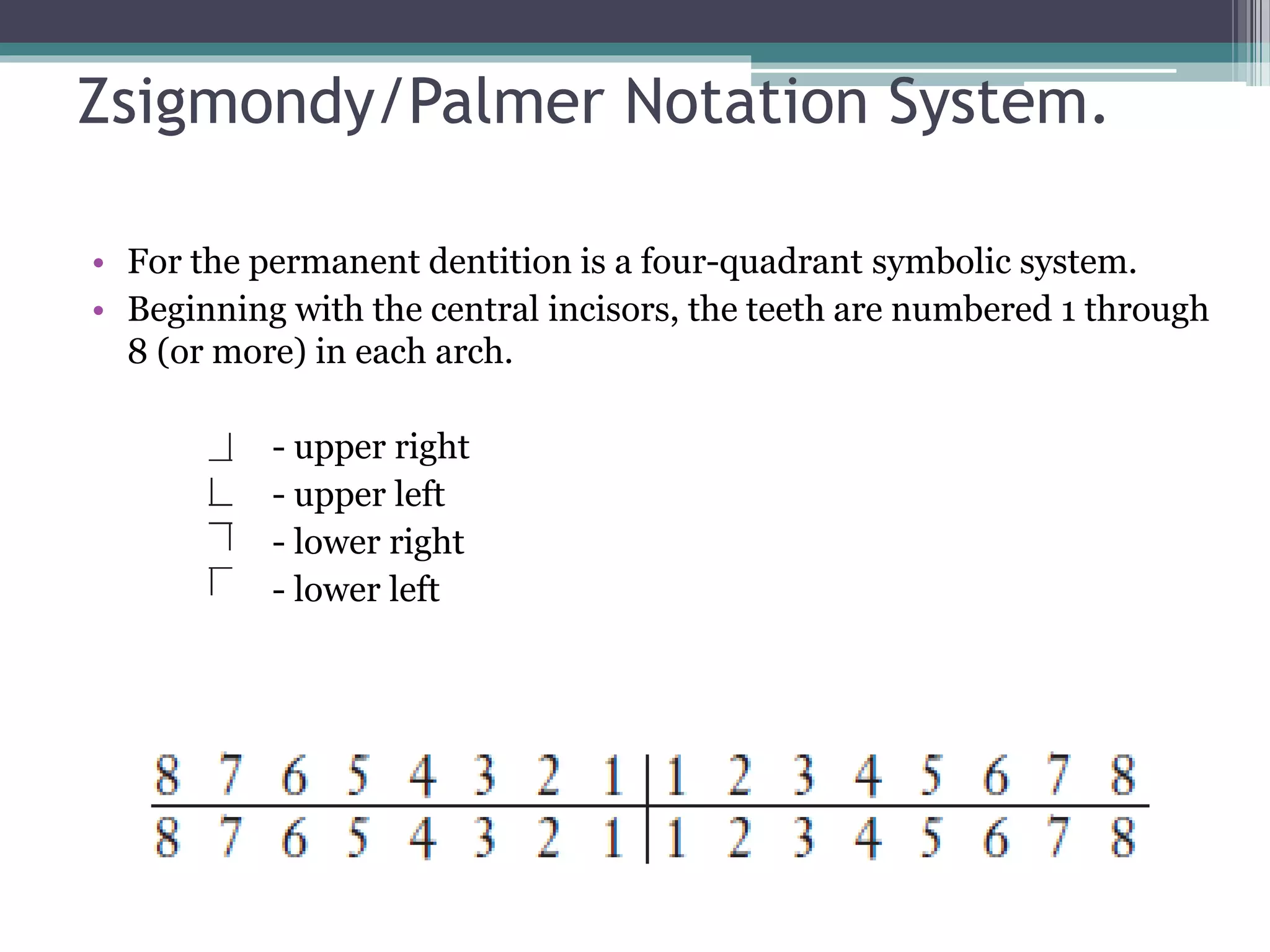 Tooth numbering system | PPTX
