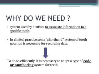 Tooth numbering system | PPTX