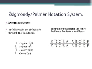 Tooth numbering system | PPTX