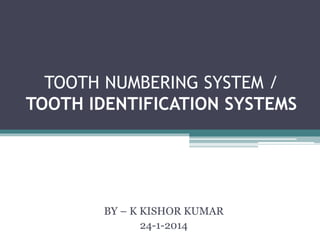 Tooth Numbering System Palmer