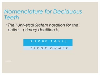 Tooth numbering system | PPT