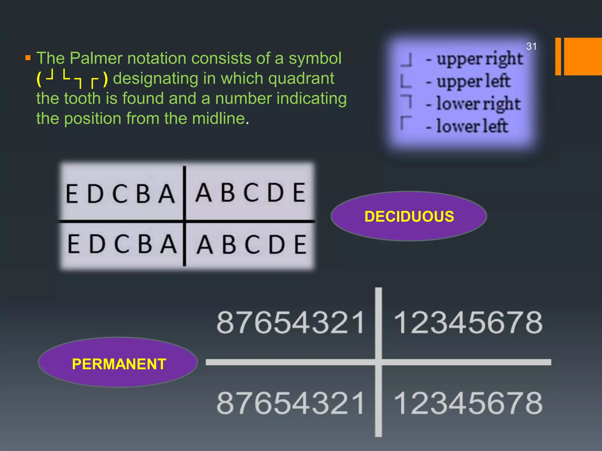 Tooth numbering system | PPTX
