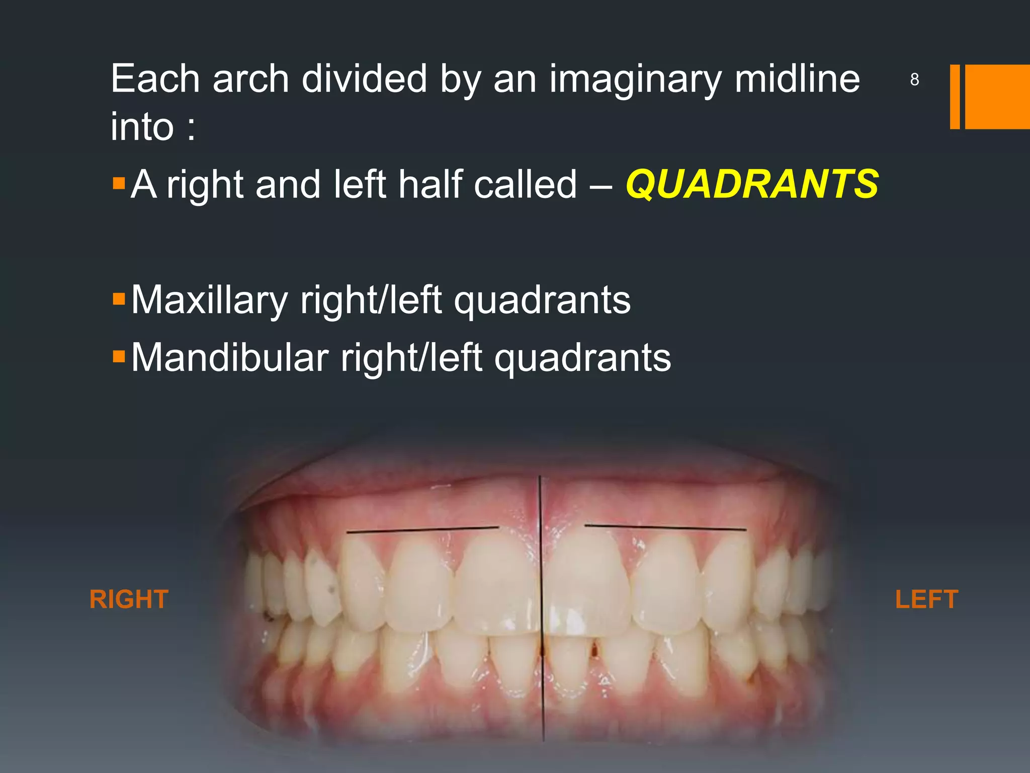 Tooth numbering system | PPTX