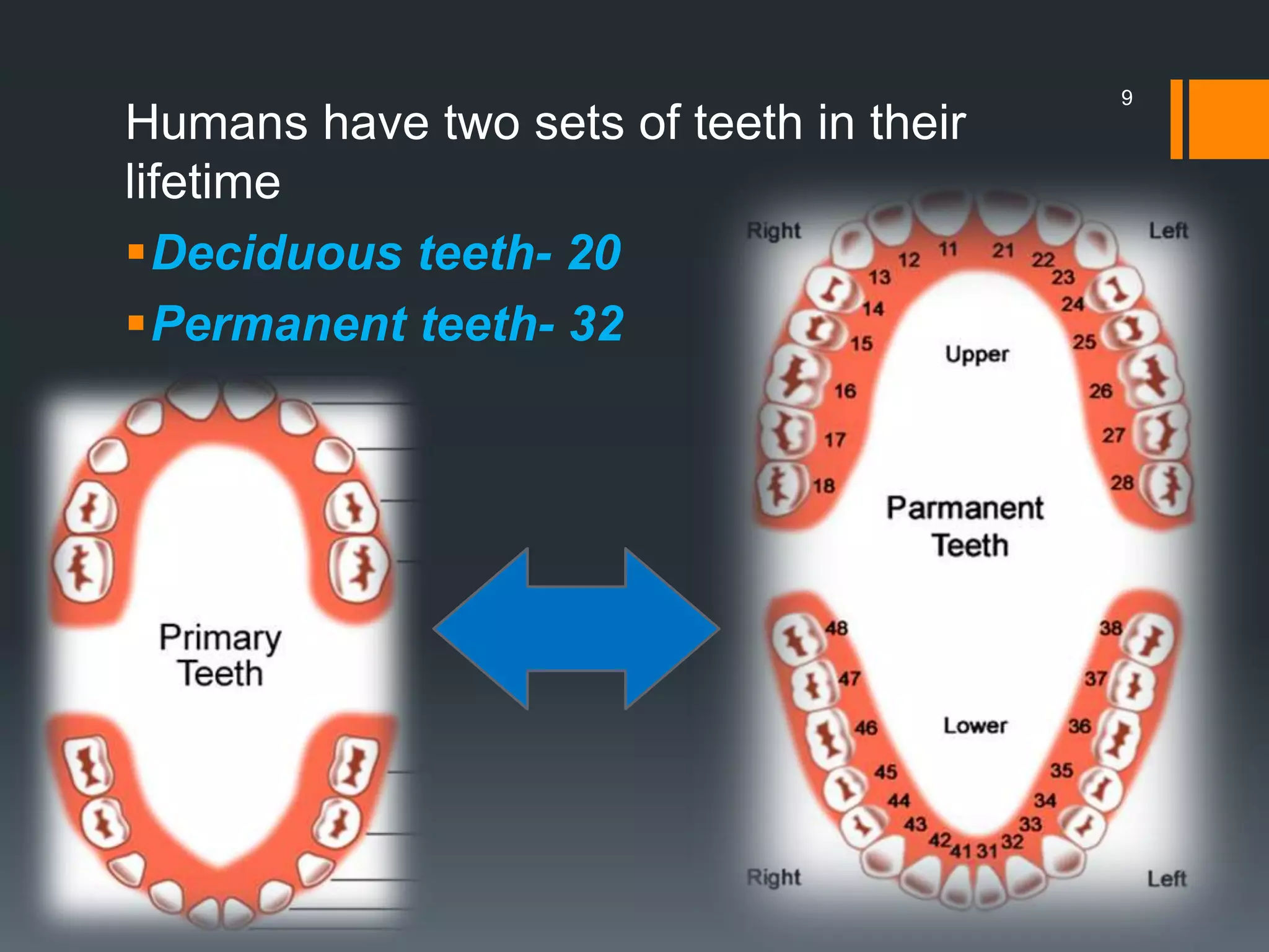 Tooth numbering system | PPTX