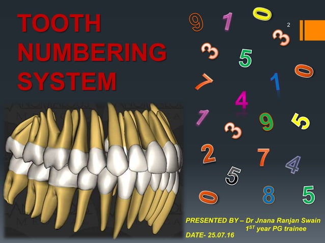 Tooth numbering system | PPTX