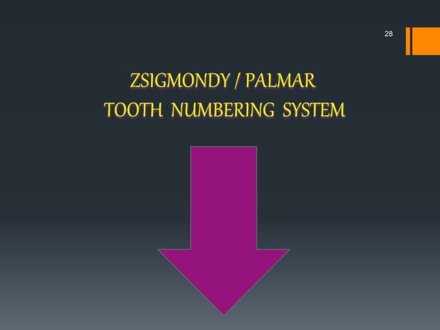Tooth numbering system | PPTX
