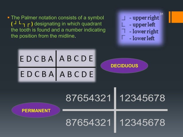 Tooth numbering system | PPTX