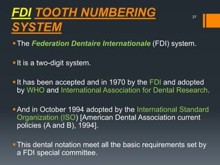 Tooth numbering system | PPTX