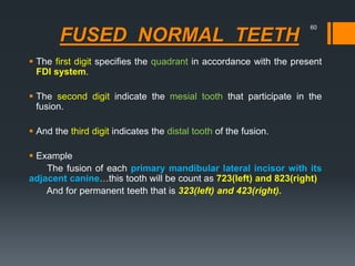 Tooth numbering system | PPTX