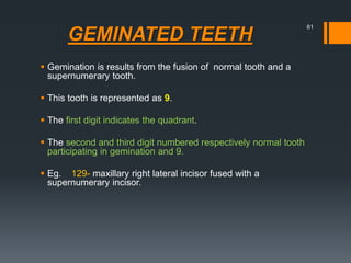 Tooth numbering system | PPTX