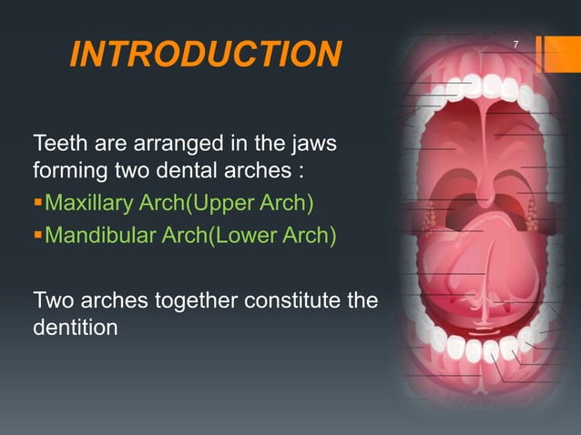 Tooth numbering system | PPTX