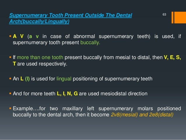 Tooth Numbering System tooth-numbering-system