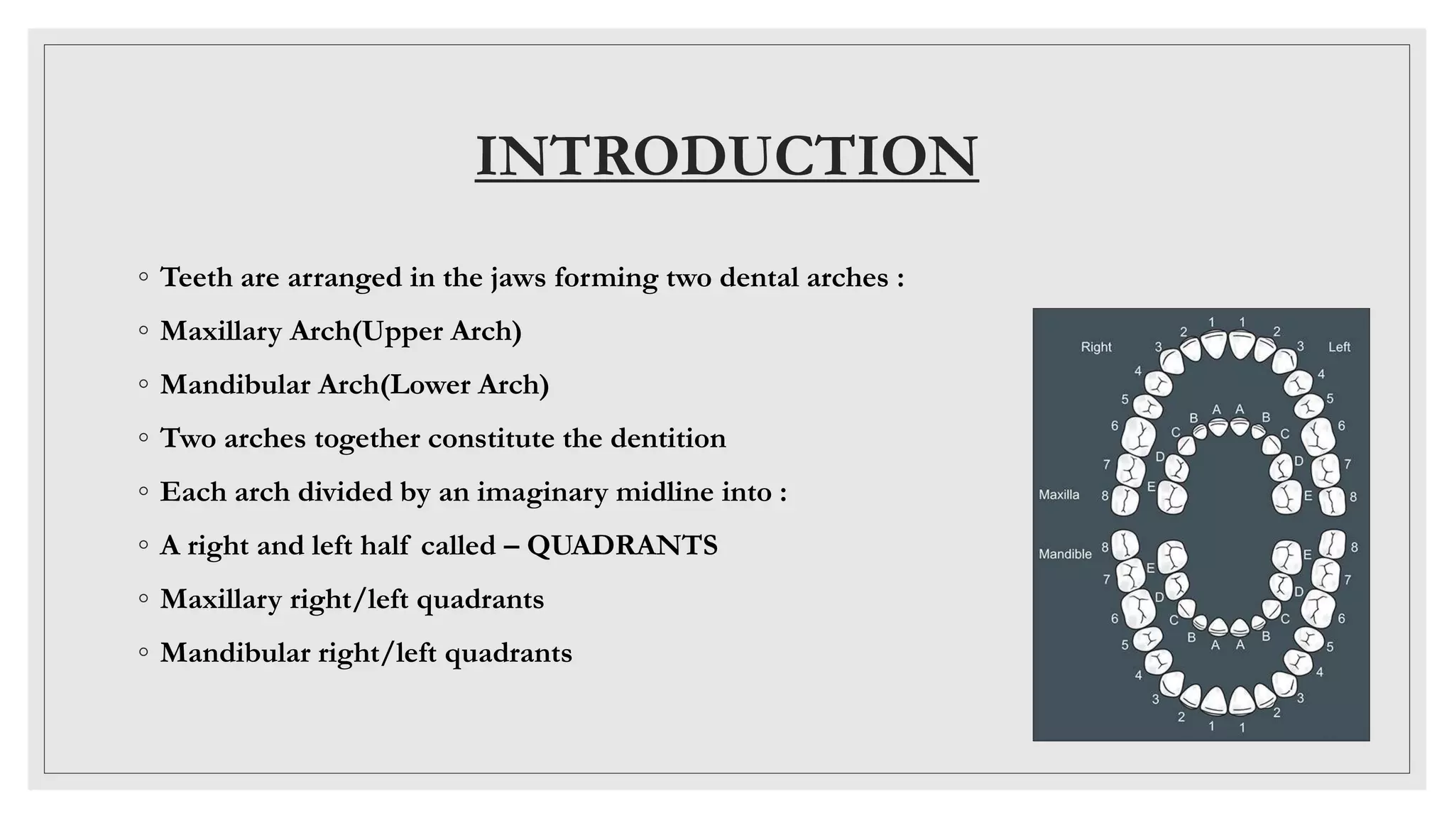 Tooth numbering system | PPTX