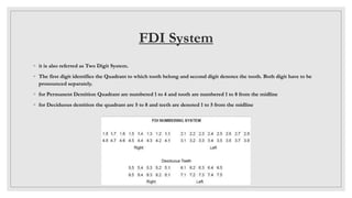Tooth numbering system | PPTX