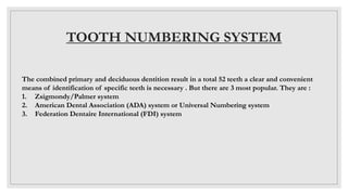 Tooth numbering system | PPTX